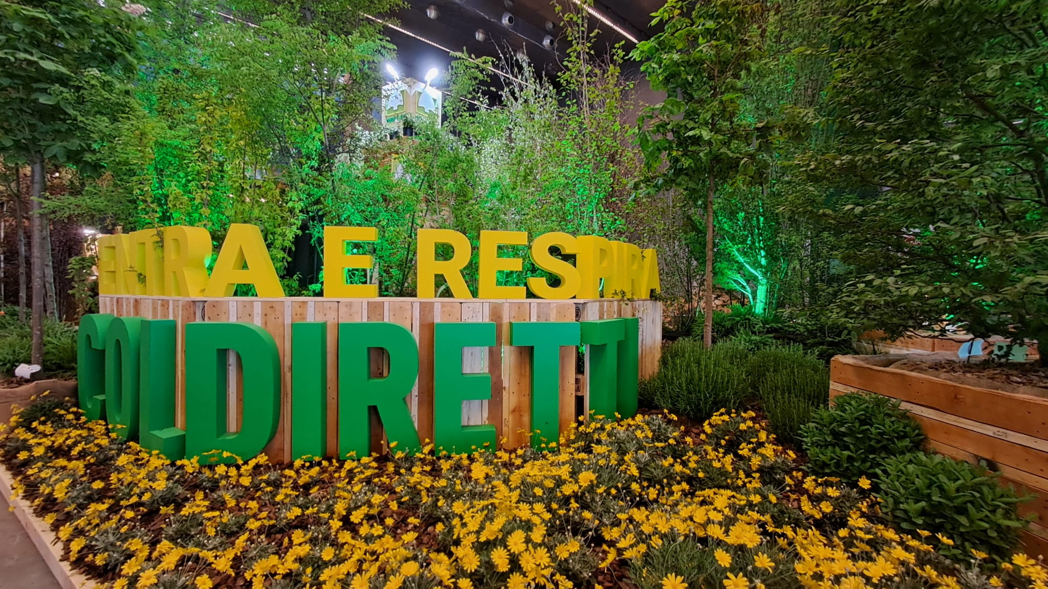 Euroflora 2025: record a 3,3 miliardi per piante e fiori italiani